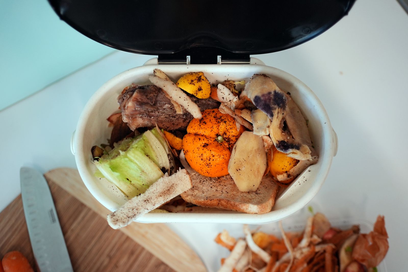 Bin Basics: What you need to know | Manawatū District Council